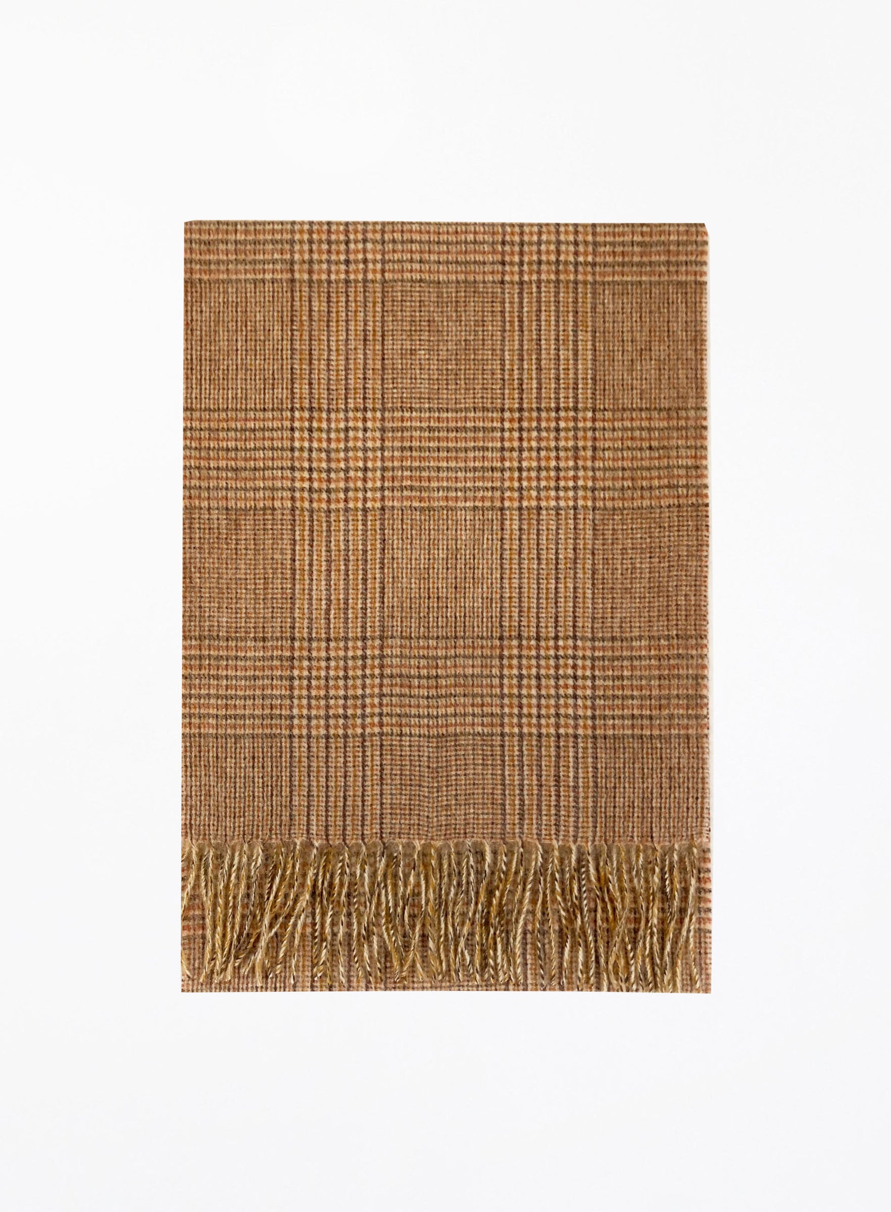 New Arrivals – AETHERA